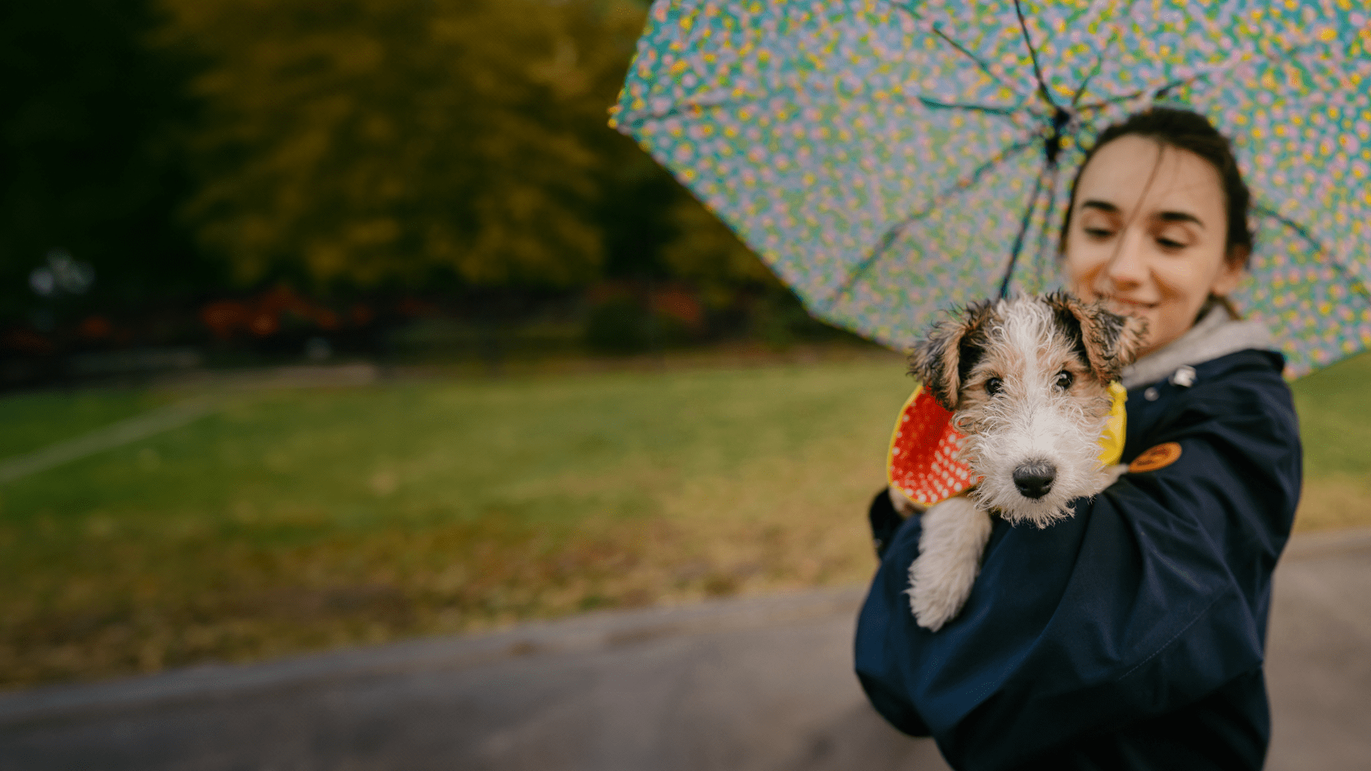 Shop myVCA | VCA Animal Hospitals