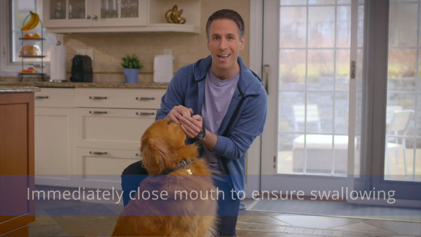Shop myVCA | VCA Animal Hospitals