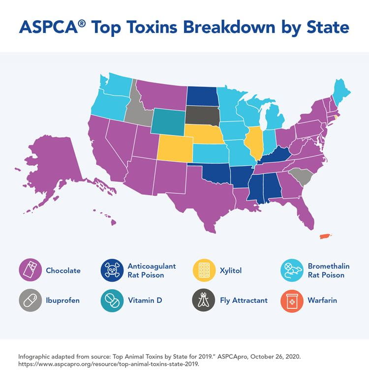 Top most common pet toxins by state