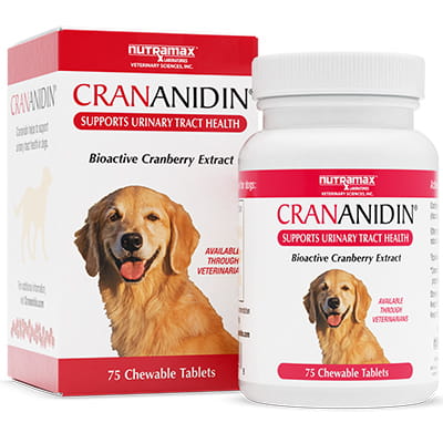 What Is The Best Cranberry Supplement For Dogs