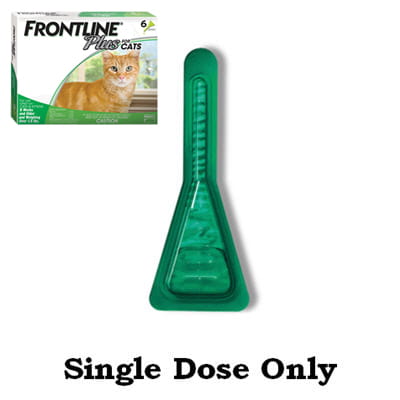 frontline plus for cats