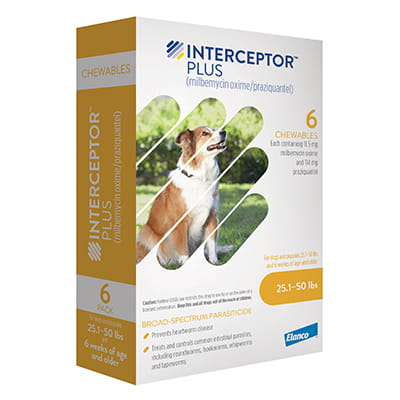 difference interceptor and interceptor plus