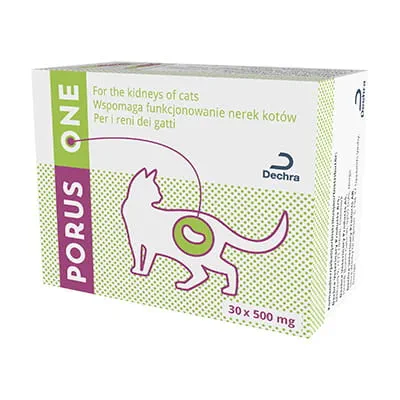 feline cystitis vca