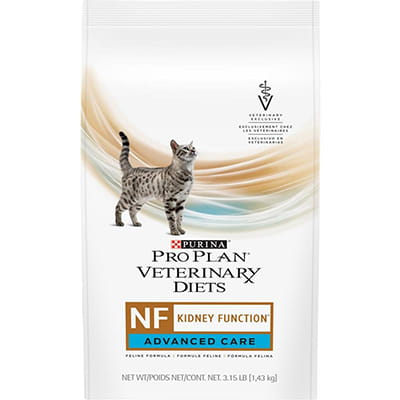 feline cystitis vca