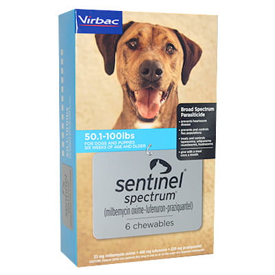 sentinel loop treatment