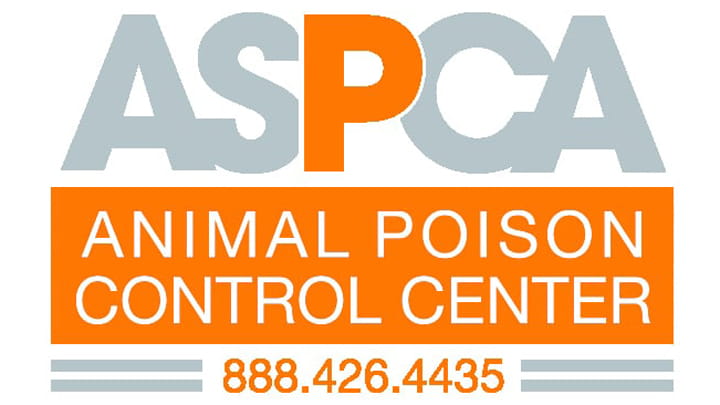 Our Hospital | VCA Animal Medical Center of Southern California