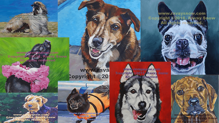 Our Hospital | VCA Mountainview Animal Hospital & Pet Lodge