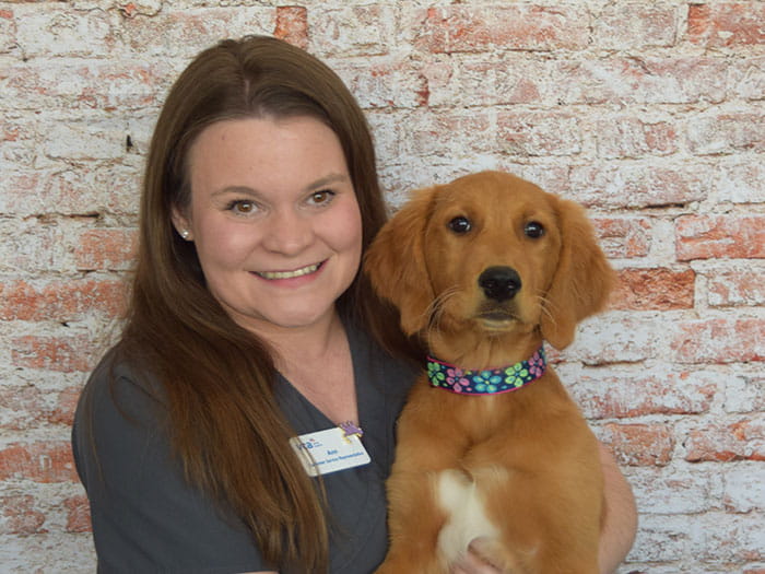 VCA Becker Animal Hospital | Staff Page