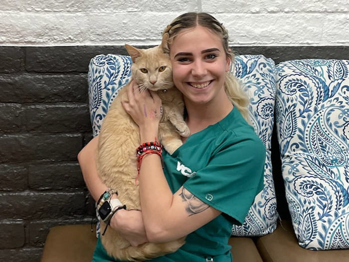 VCA Mesa Animal Hospital | Staff Page