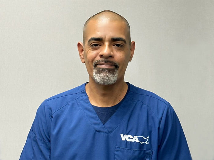 VCA University Animal Hospital | Staff Page