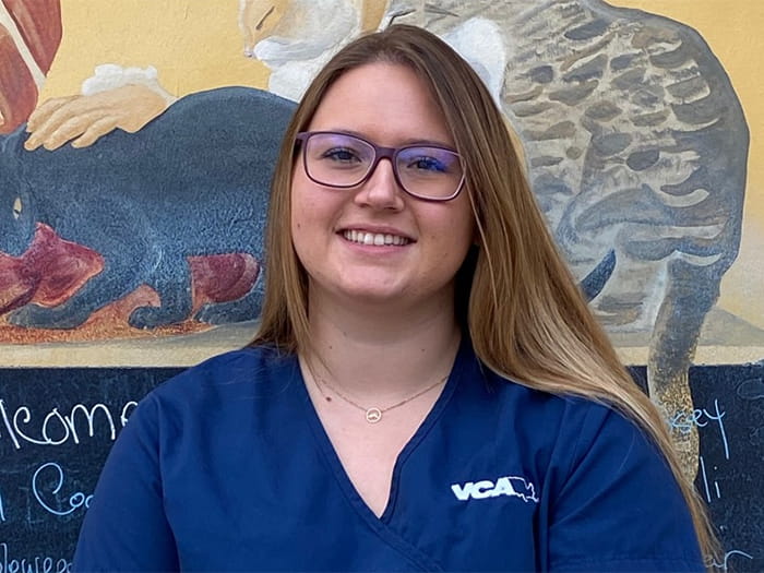 VCA All Our Pets Animal Hospital | Staff Page