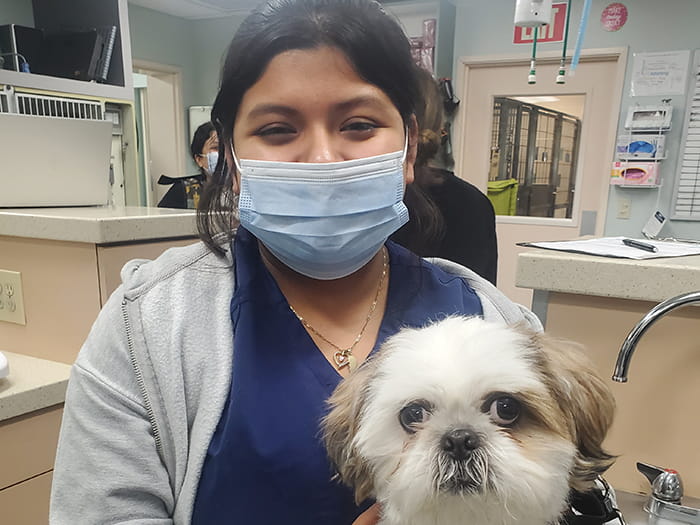 VCA Animal Medical Center | Staff Page
