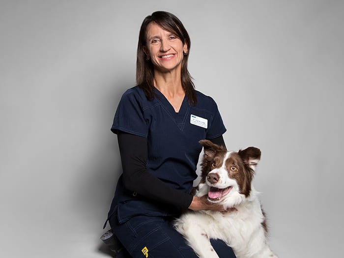 Emergency & Critical Care | VCA Animal Specialty & Emergency Center