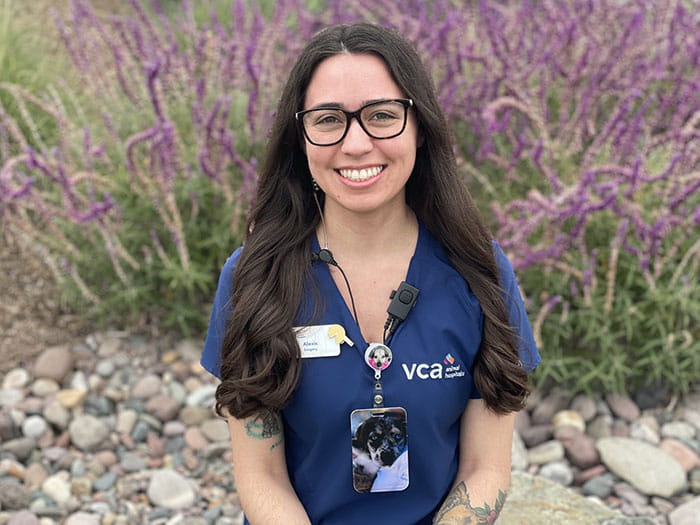 VCA Animal Specialty Group | Staff Page