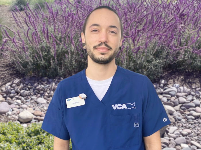 VCA Animal Specialty Group | Staff Page