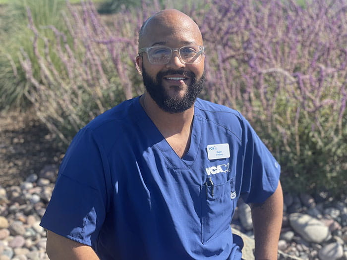 VCA Animal Specialty Group | Staff Page