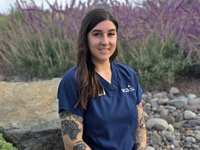 VCA Animal Specialty Group | Staff Page