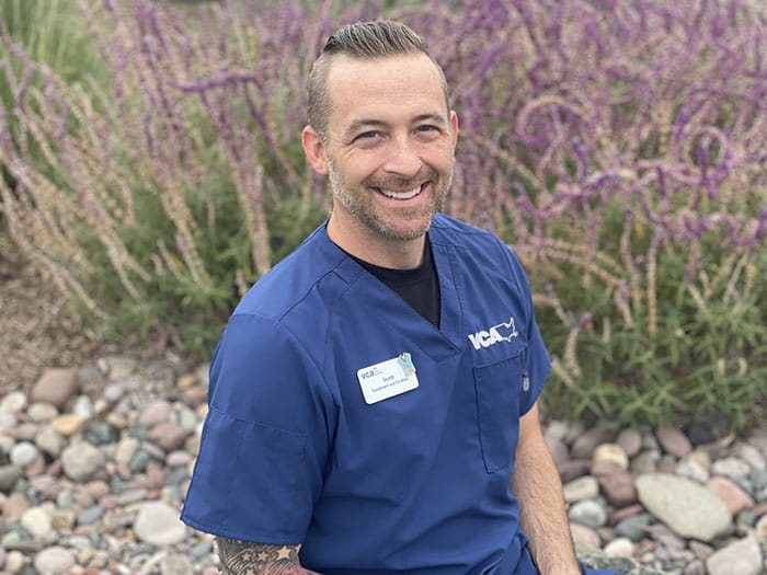 VCA Animal Specialty Group | Staff Page