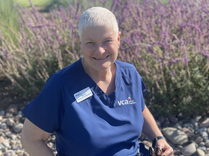 VCA Animal Specialty Group | Staff Page