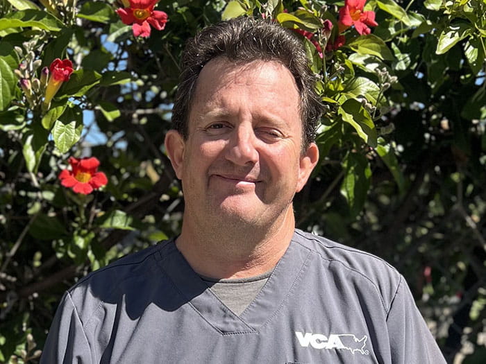 VCA Arden Animal Hospital | Staff Page