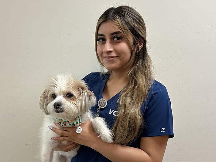 VCA Bakersfield Animal Hospital | Staff Page