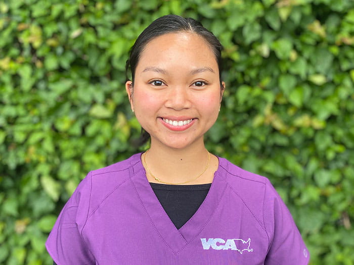 Vca California Veterinary Specialists Carlsbad