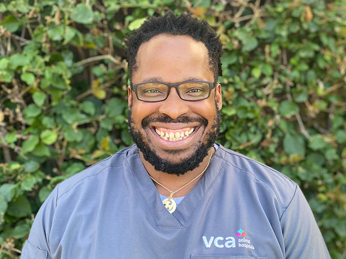 Vca California Veterinary Specialists Carlsbad