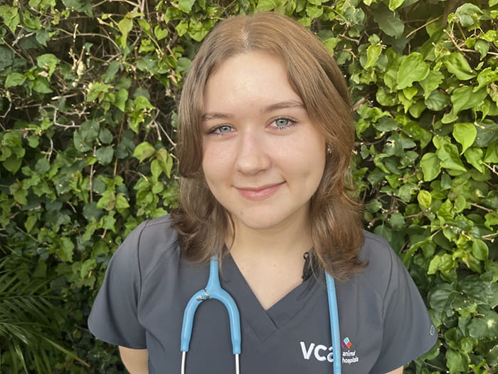 Vca California Veterinary Specialists Carlsbad
