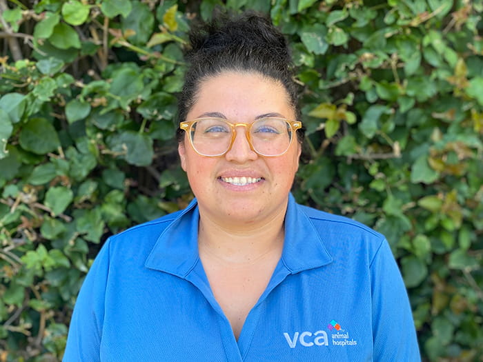 Vca California Veterinary Specialists Carlsbad