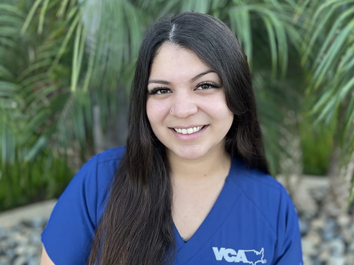 Vca California Veterinary Specialists Carlsbad