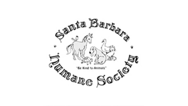 Our Hospital | VCA Care Specialty and Emergency Animal Hospital