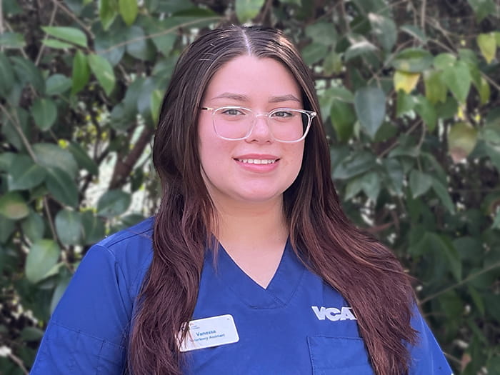 VCA Greenhaven Pocket Animal Hospital | Staff Page