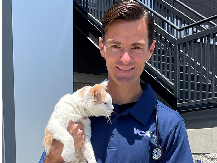 VCA Irvine Boulevard Animal Hospital | Staff Page