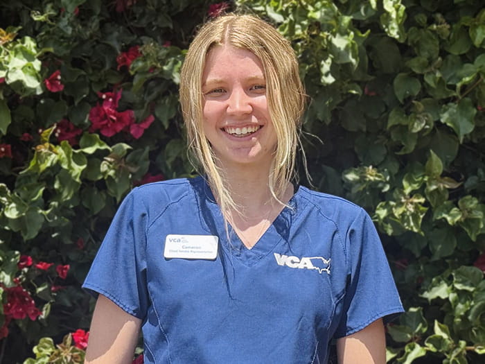 VCA Laguna Niguel Animal Hospital | Staff Page