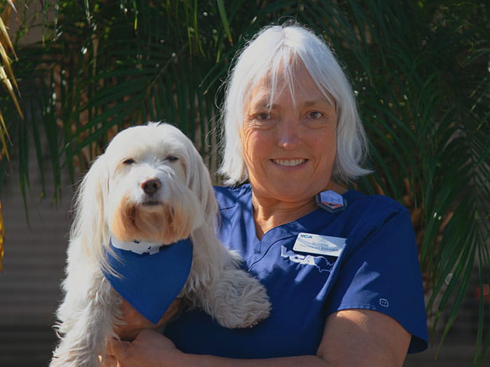 VCA McClave Animal Hospital | Staff Page