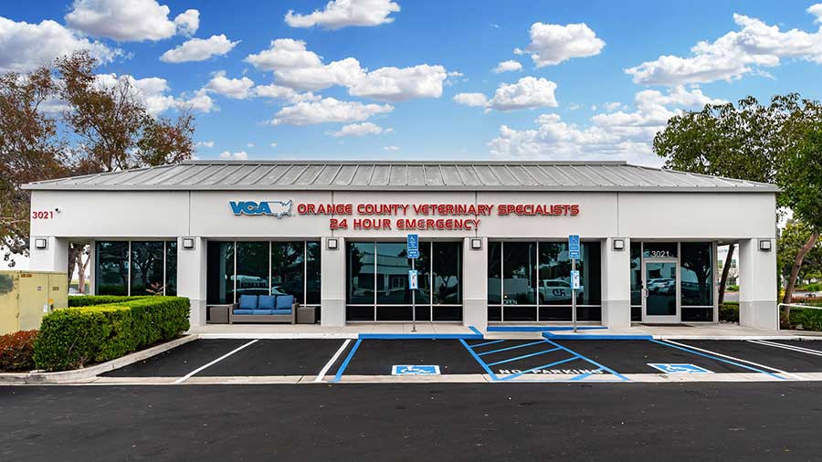 Our Hospital | VCA Orange County Veterinary Specialists