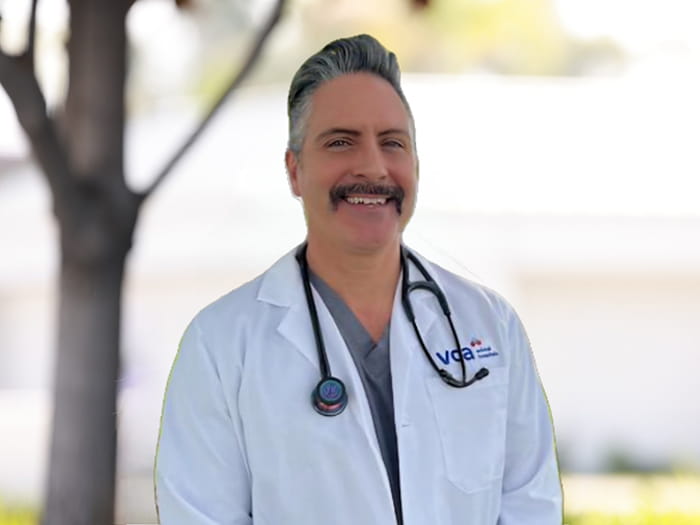 VCA Orange County Veterinary Specialists | Our Team