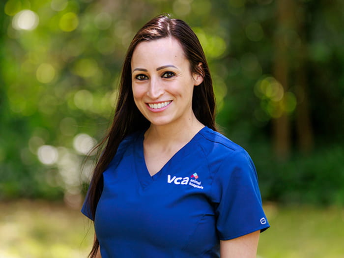 VCA Sunset Animal Medical Center | Staff Page