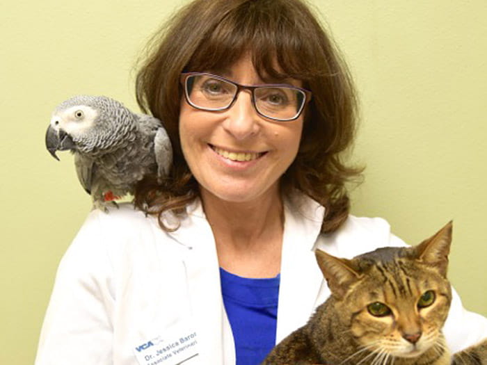 VCA Wilshire Animal Hospital | Staff Page