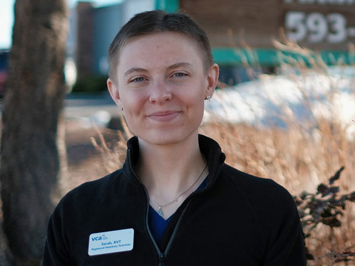 VCA Dublin Animal Hospital | Staff Page