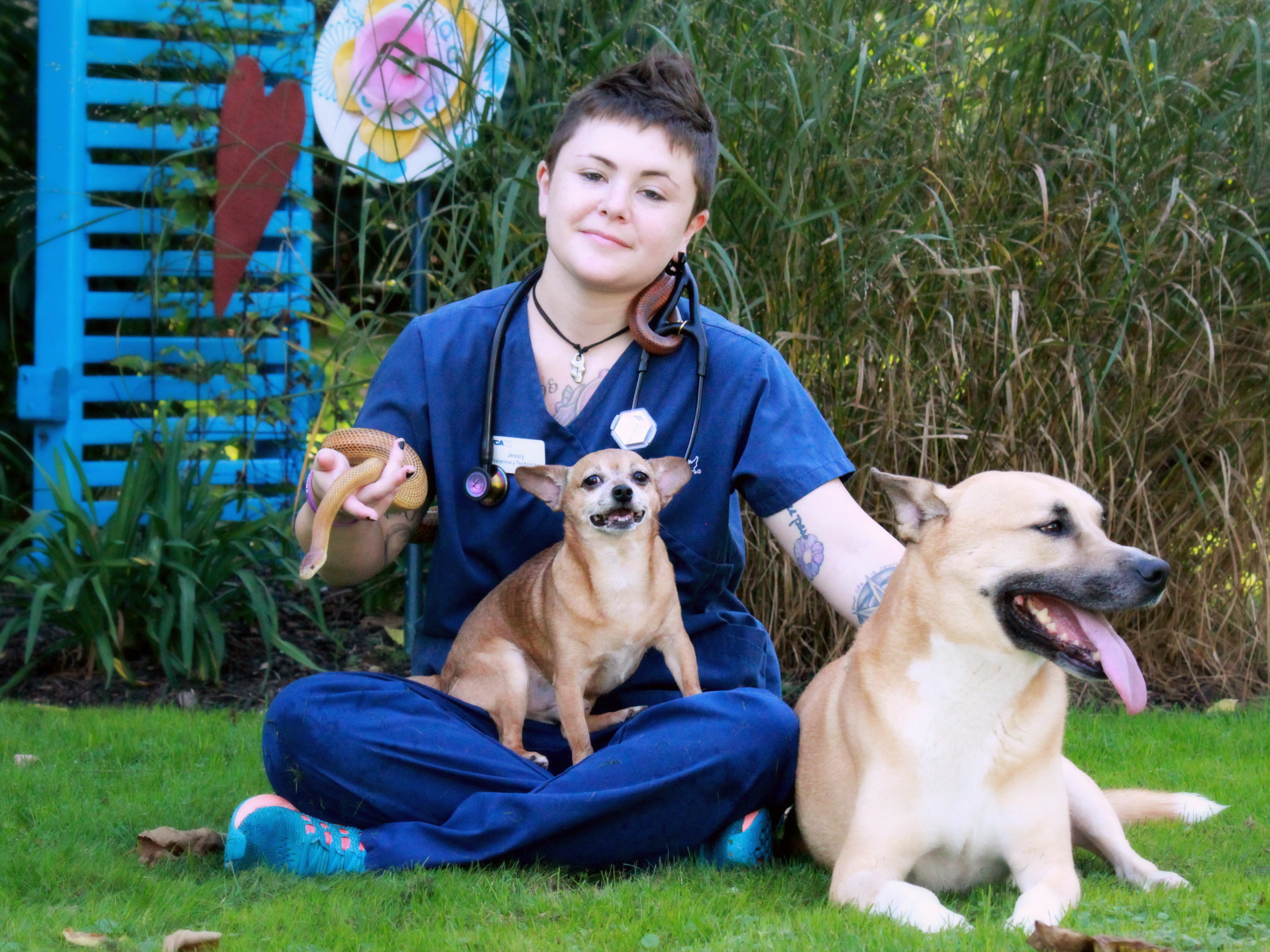VCA Cheshire Animal Hospital | Staff Page