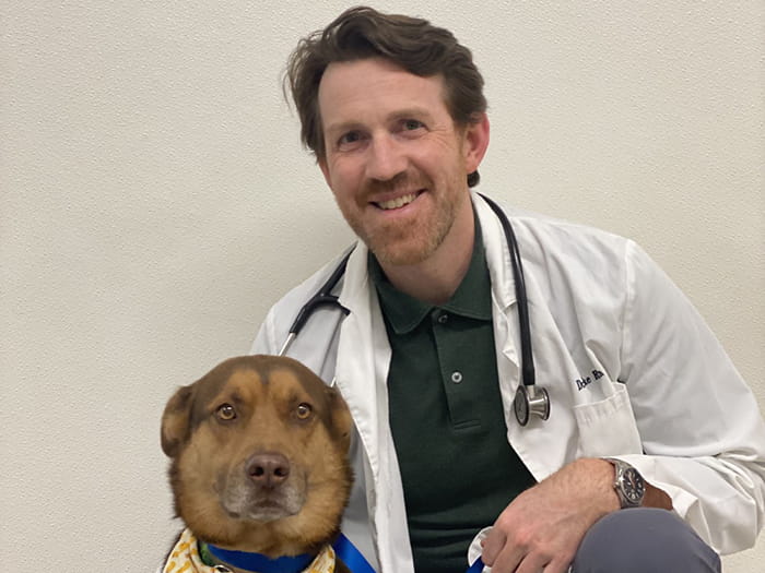 VCA Darien Animal Hospital | Staff Page