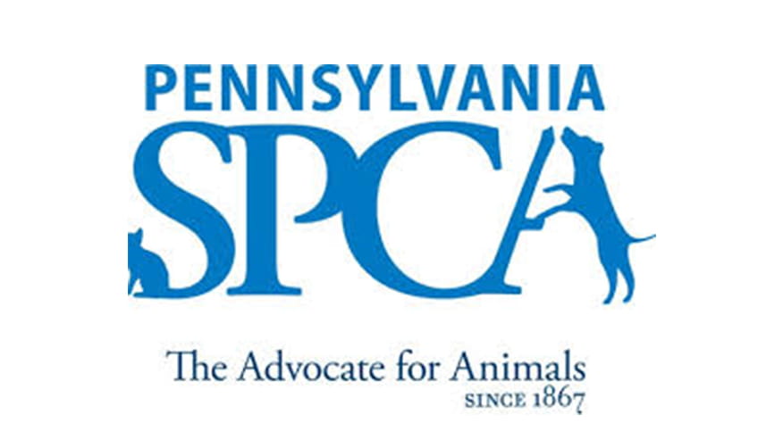 Our Hospital | VCA Dover Animal Hospital