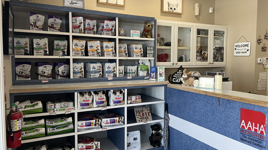 Our Hospital | VCA Little Animal Hospital