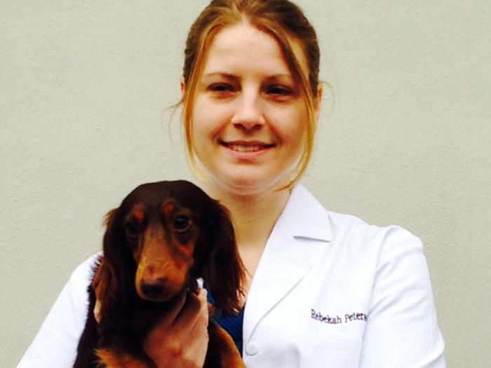 VCA Village Animal Hospital | Staff Page
