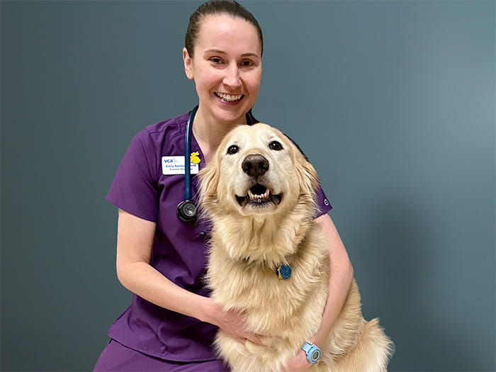 VCA Midtown Animal Hospital | Staff Page