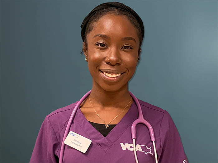 VCA Midtown Animal Hospital | Staff Page