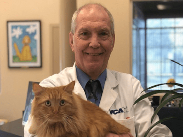 Vca Roswell Animal Hospital