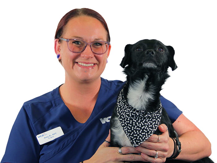 Surgery | VCA Advanced Veterinary Care Center