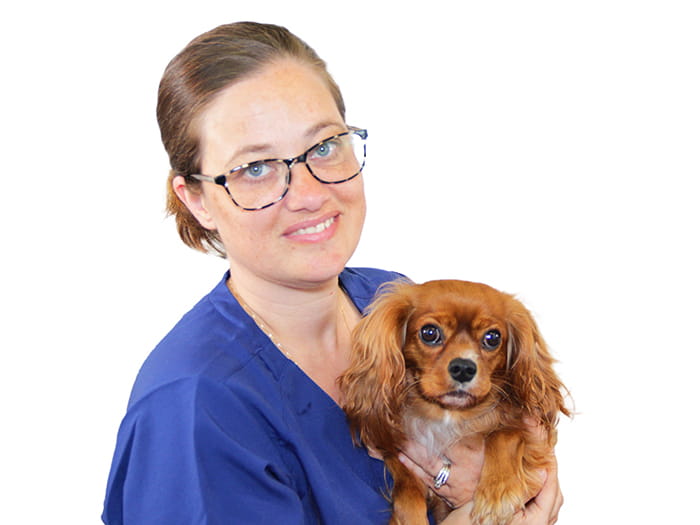 VCA Advanced Veterinary Care Center | Staff Page